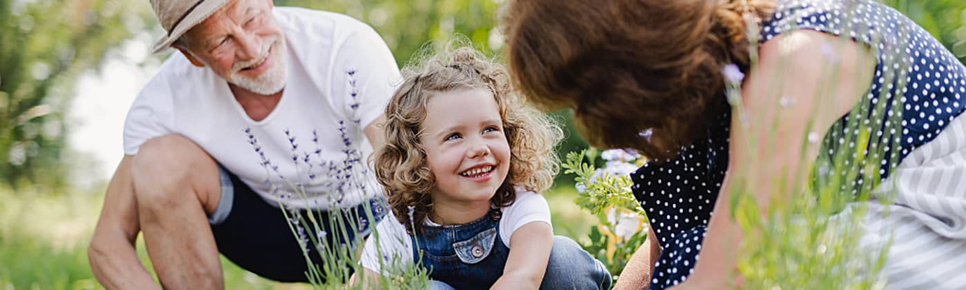 Single Premium Life Insurance