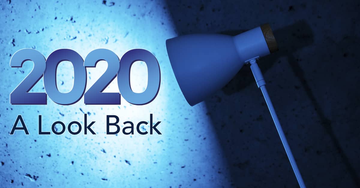 2020: A Year in Review | The The Whole Truth