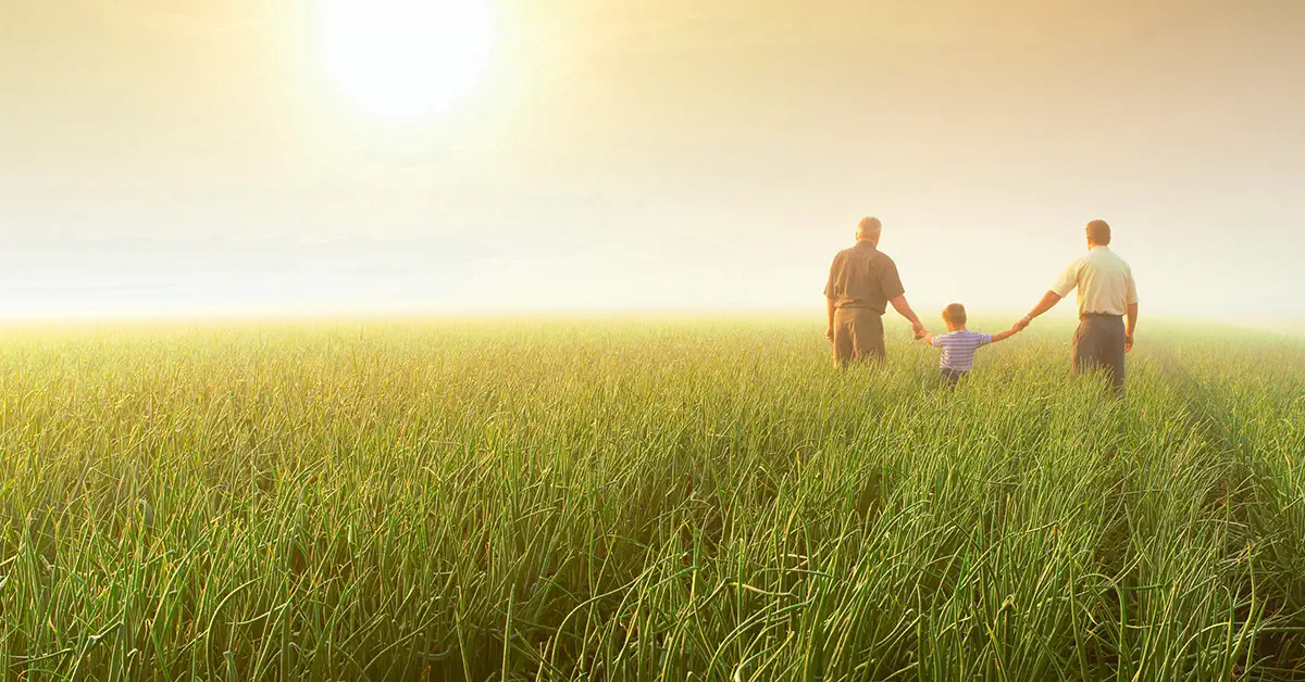 What Is a Land Trust and How Does It Work?