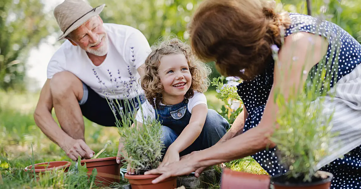 Understanding Single Premium Life Insurance