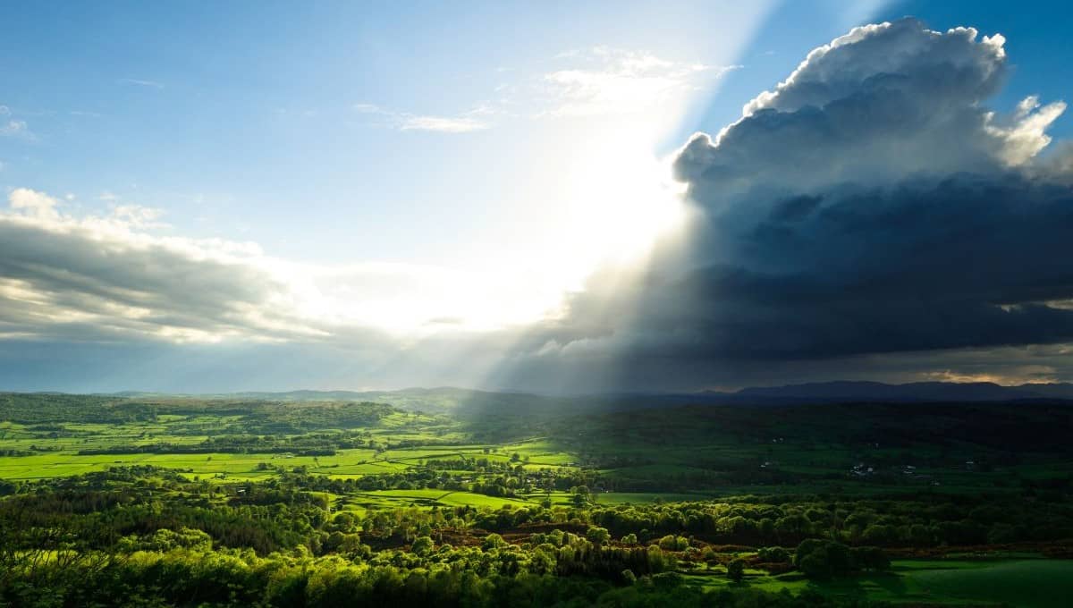 Monthly Market Pulse – May 2026
